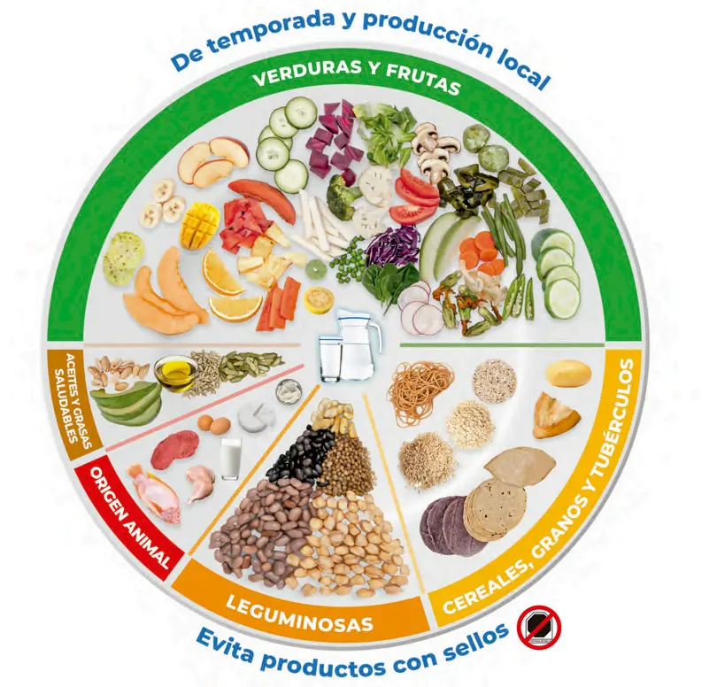 Nuevo Plato del Bien Comer para la Población Mexicana | Nutrismart